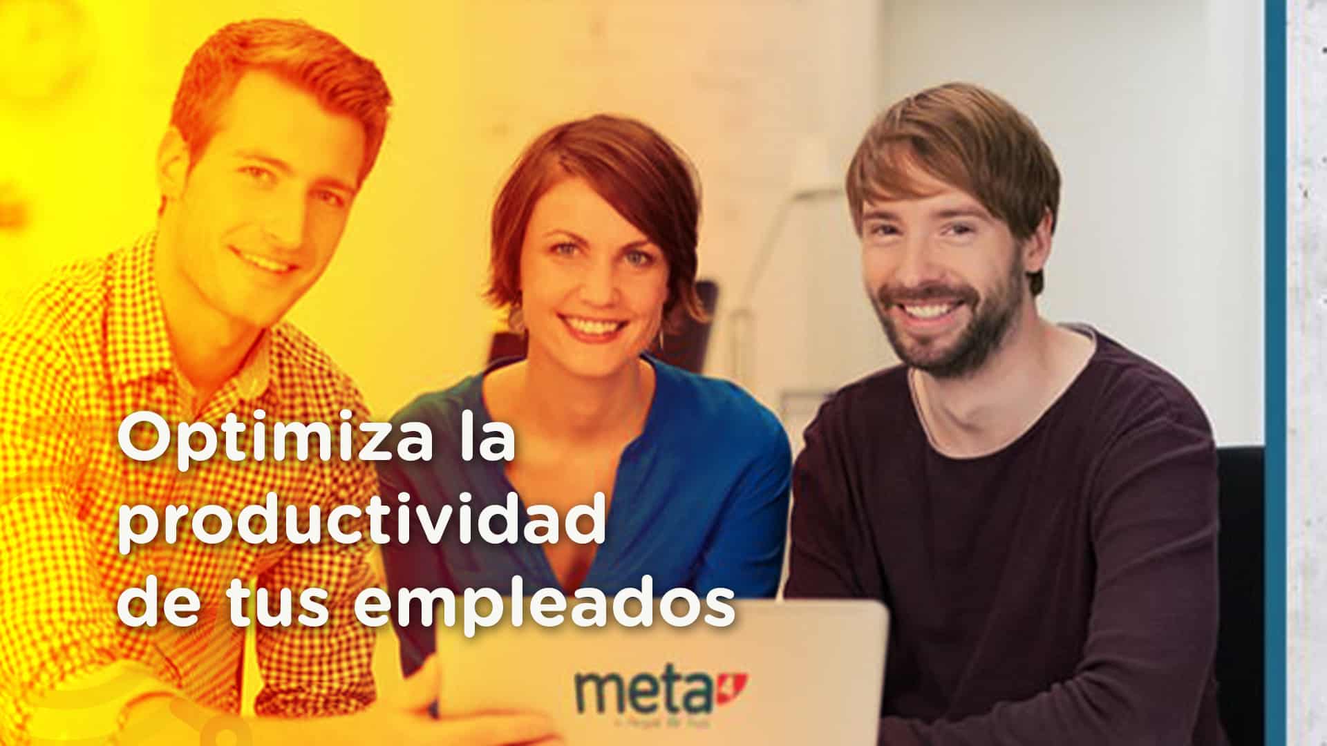 Meta4: qué es, características y funciones