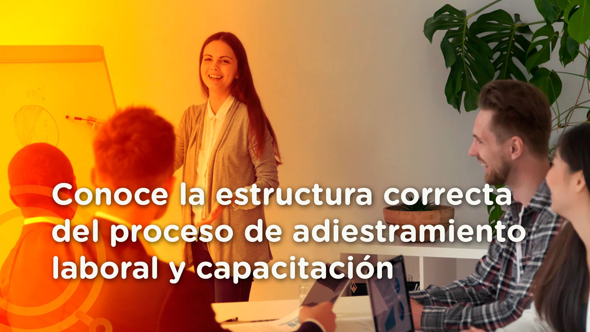 Etapas del proceso capacitación y desarrollo laboral